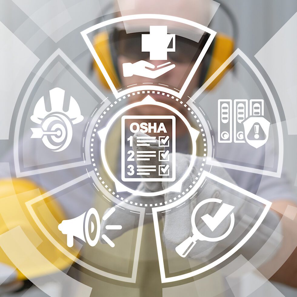 Bed Bugs in the Workplace | Employee Rights & OSHA Guidelines – Denver